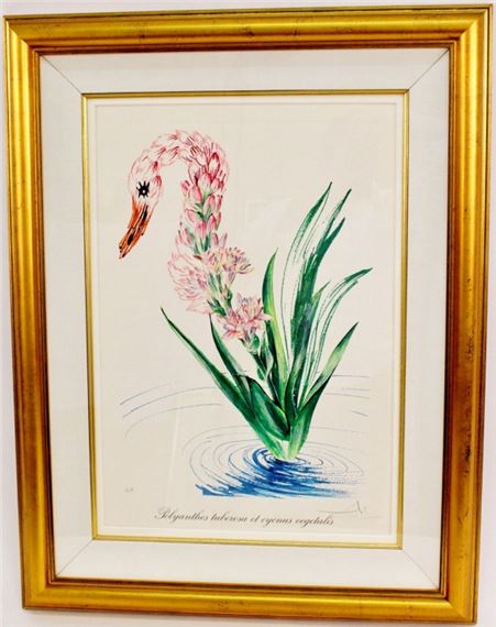 Salvador Dalí | Dali Water Hybiscus Swan Lithograph, Signed | MutualArt