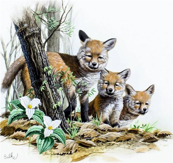 Don Balke | Red Fox (1984) | MutualArt