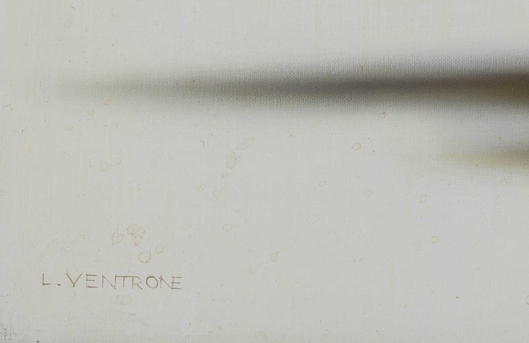 Luciano Ventrone | Vincere il Tempo | MutualArt