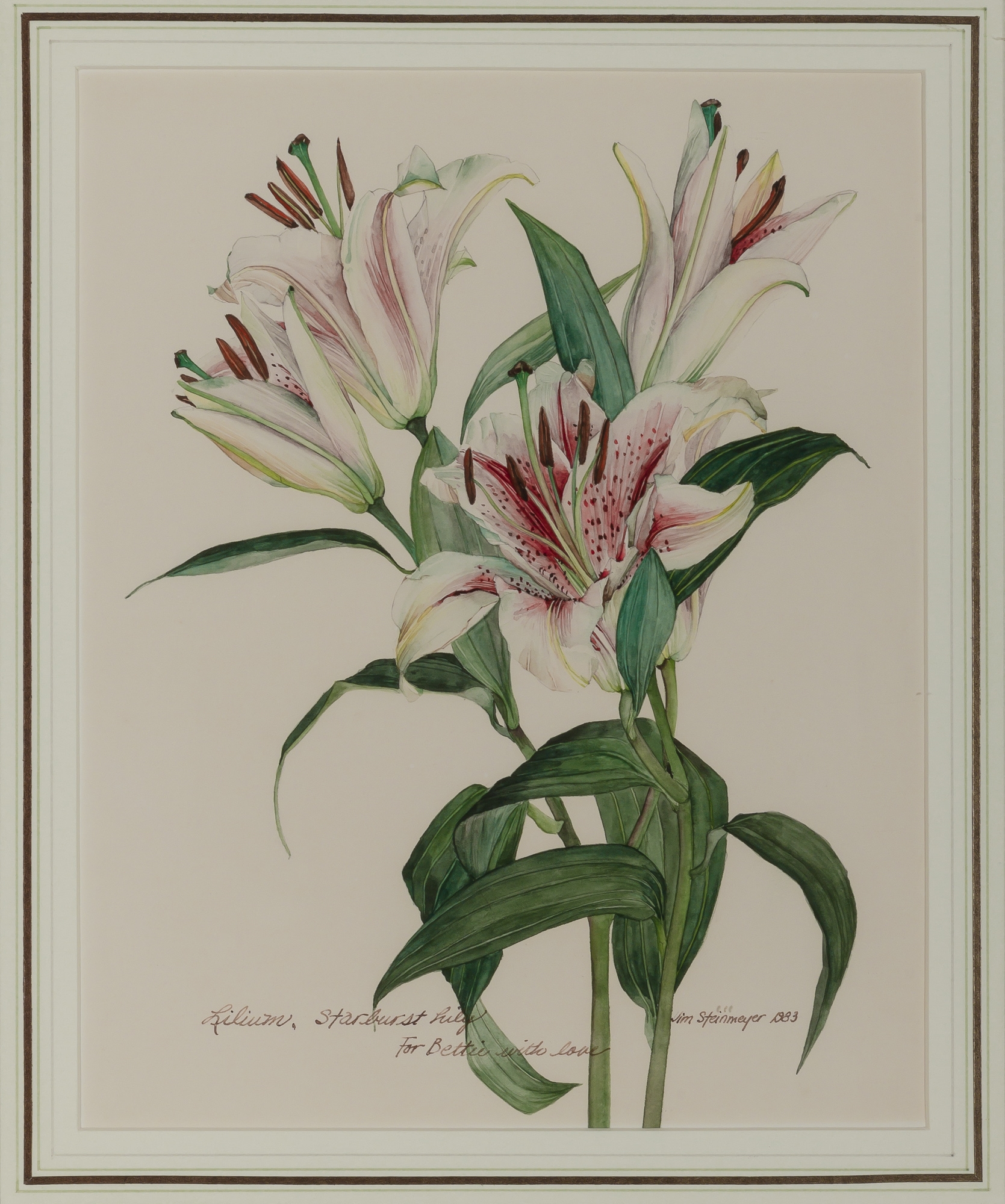 James M. Steinmeyer | Century Lilium, Starburst Lily | MutualArt