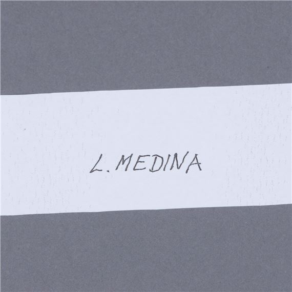 Luis Medina | Black and Violet | MutualArt