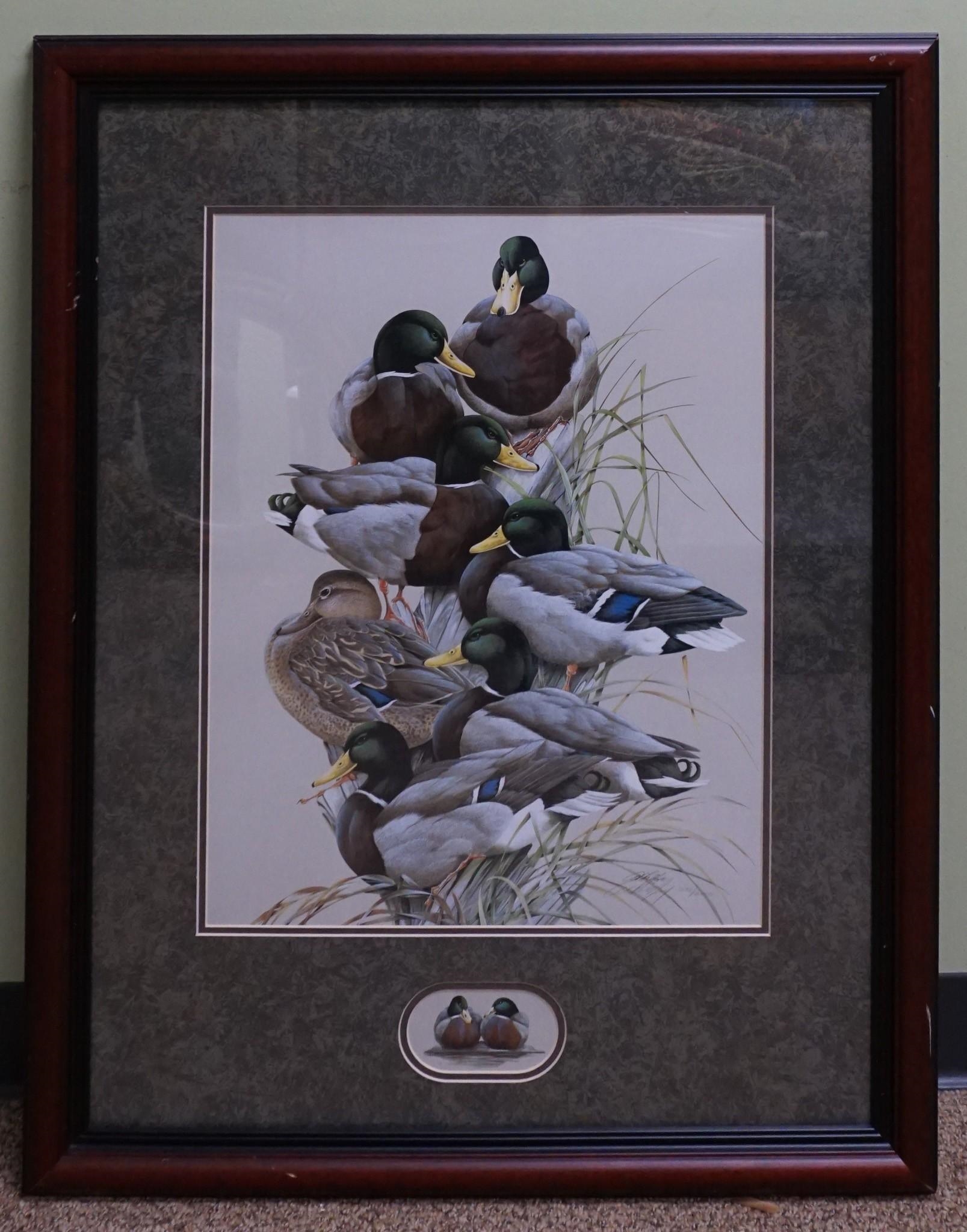 Art Lamay | Mallard Mania | MutualArt