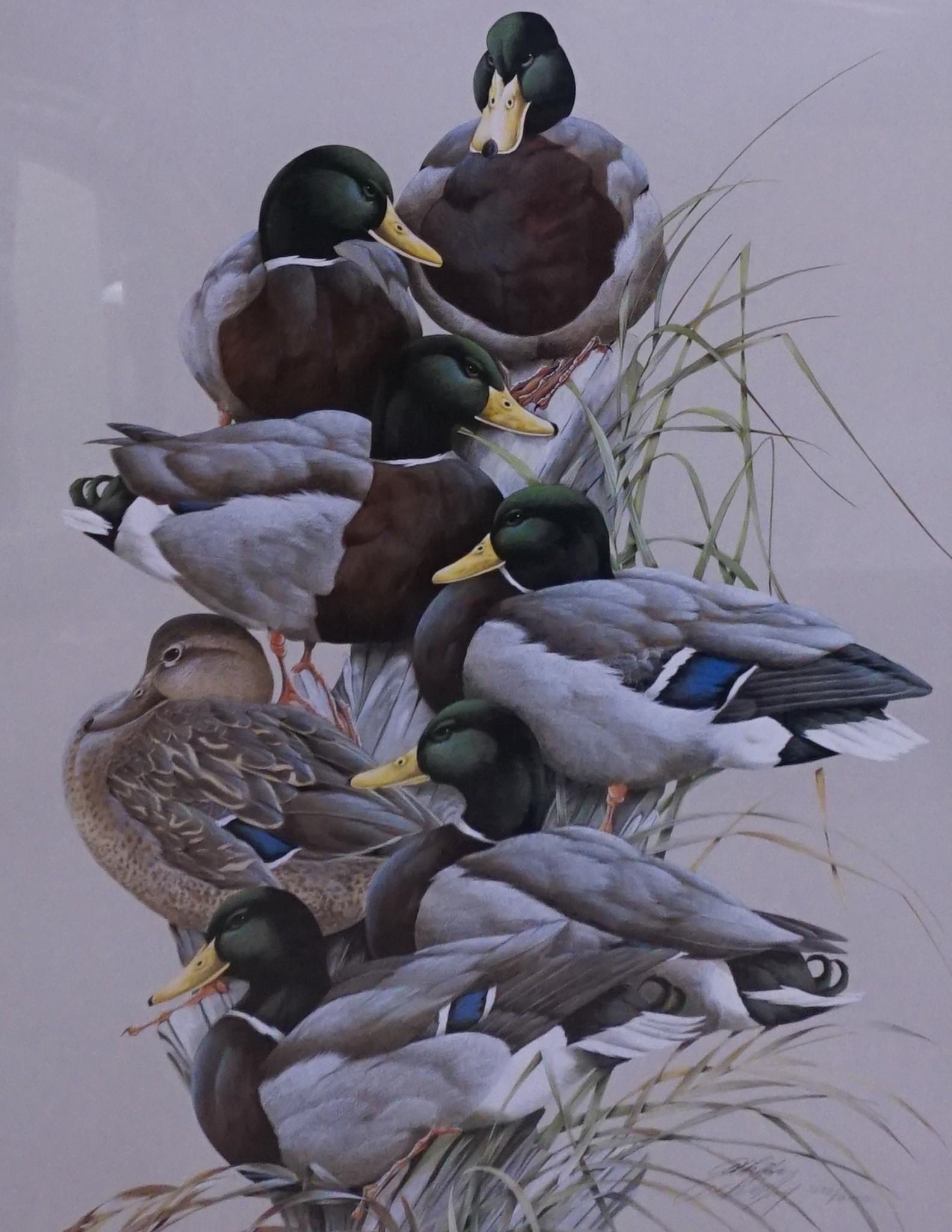 Art Lamay | Mallard Mania | MutualArt