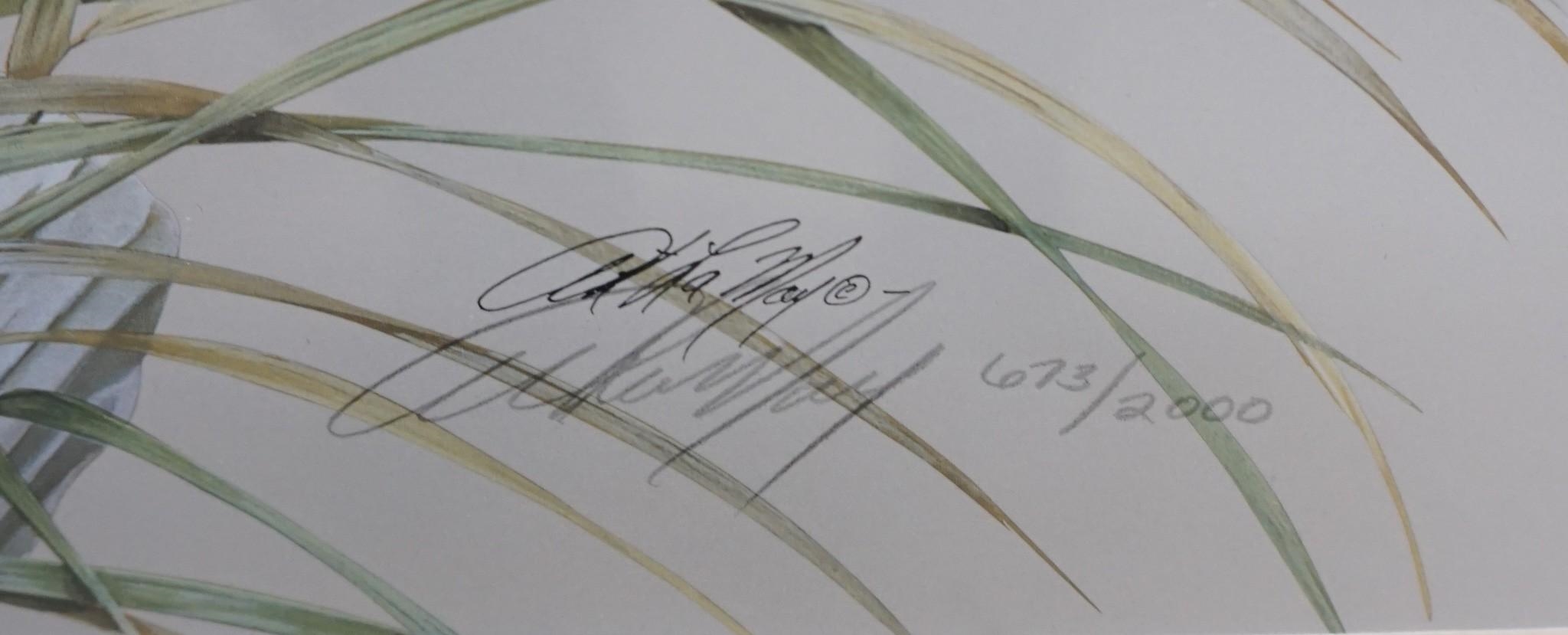 Art Lamay | Mallard Mania | MutualArt