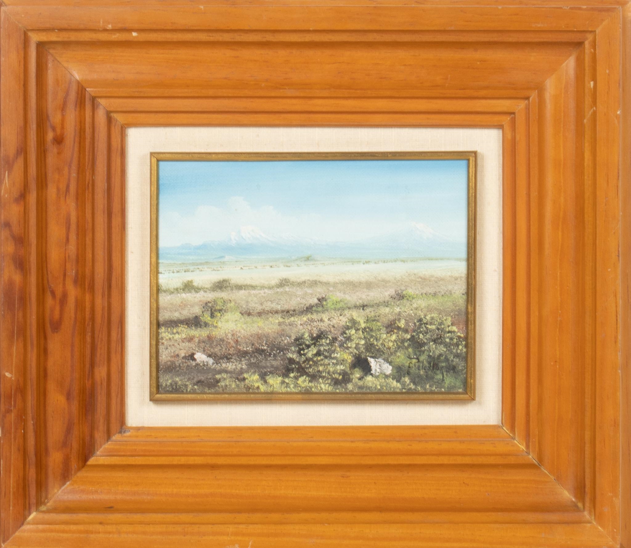 Carlos Pelestor | View of Popocatepetl | MutualArt