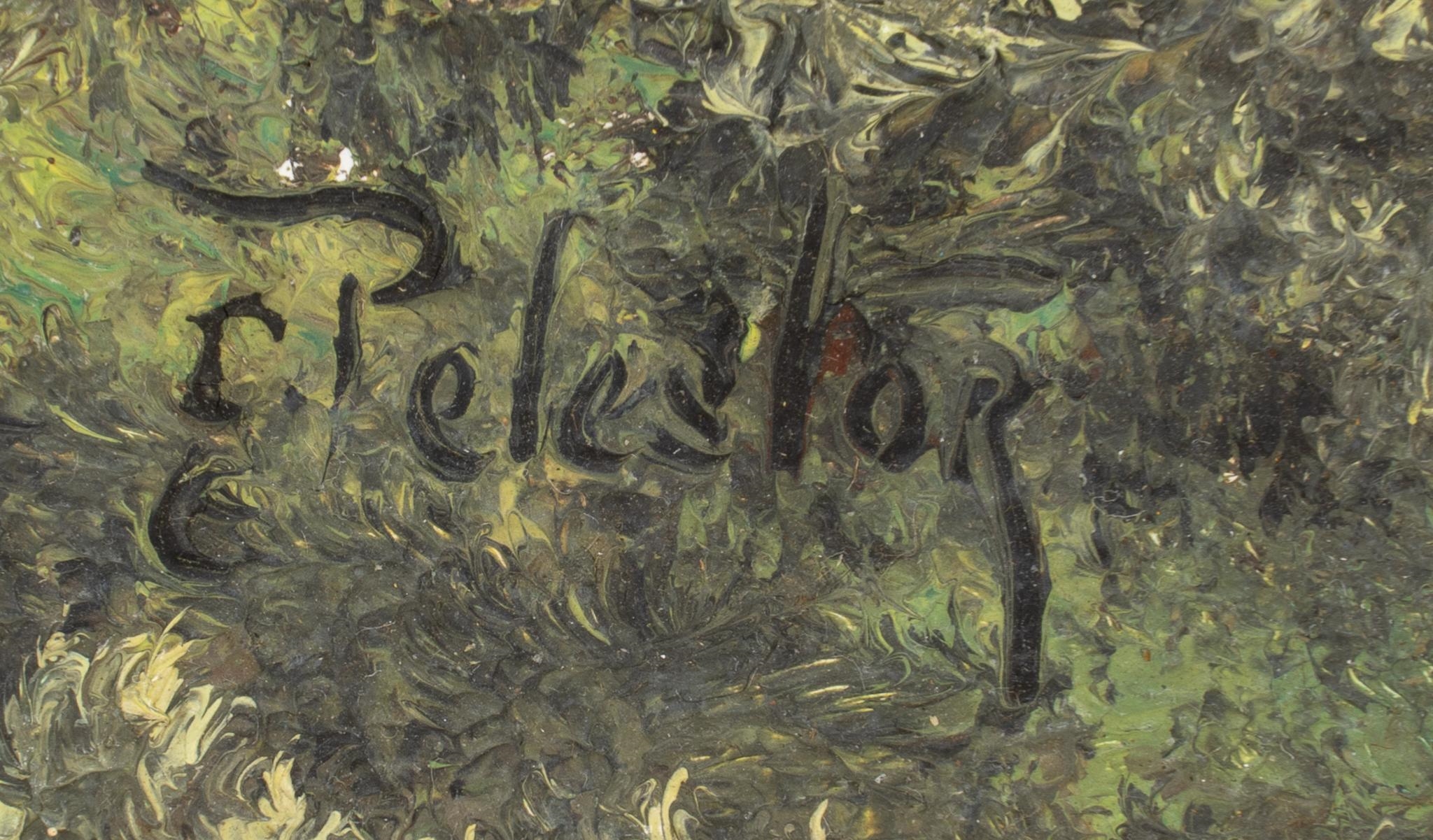 Carlos Pelestor | View of Popocatepetl | MutualArt