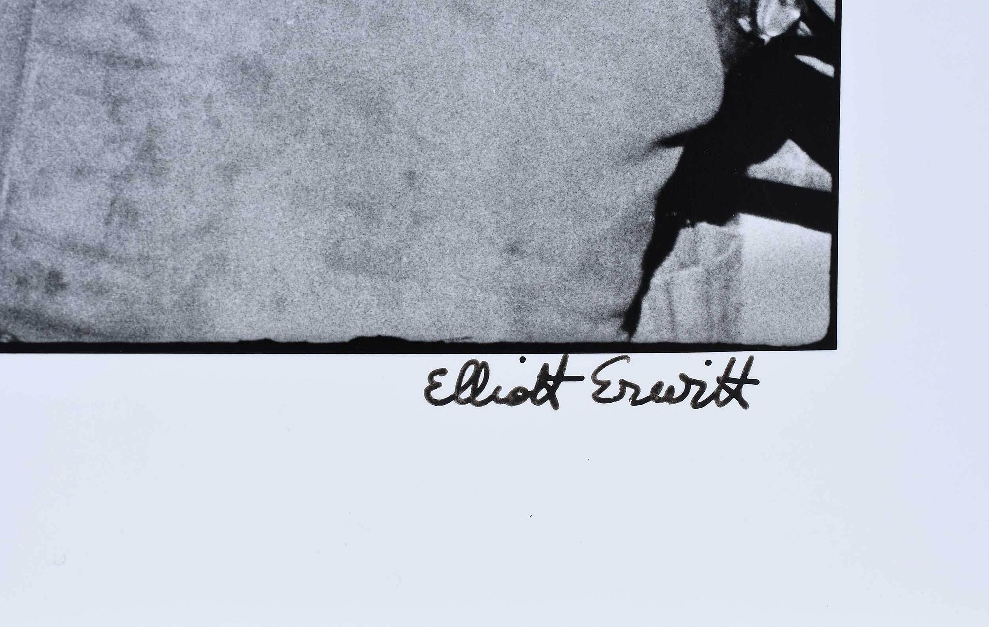 Elliott Erwitt | Gentleman with his Dog | MutualArt