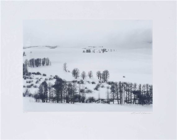 Thomas Reed | Snowstorm (1979) | Compare similar artworks | MutualArt