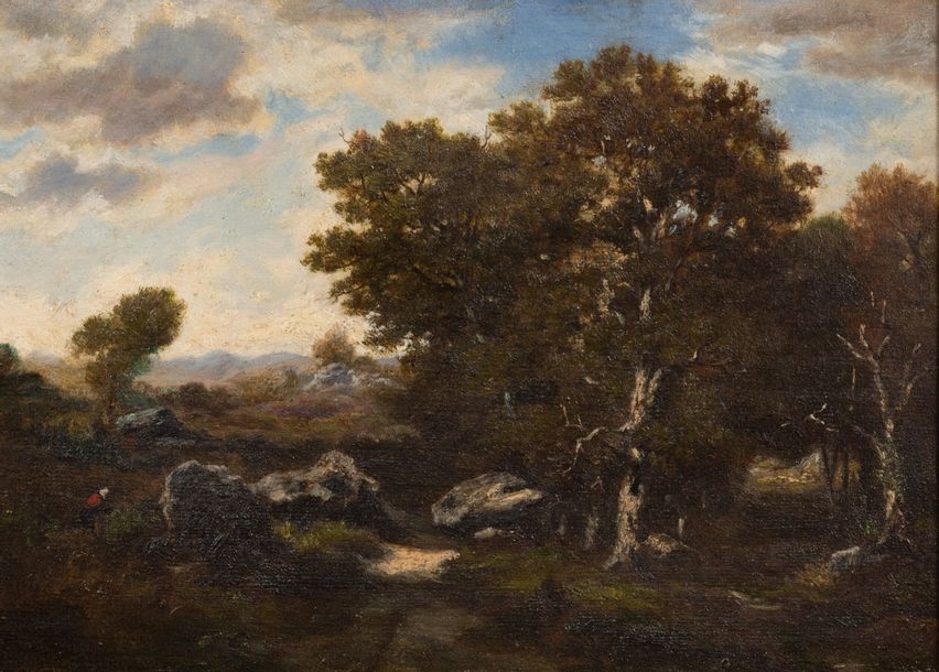 David Sutter | Forêt de Fontainebleau | MutualArt