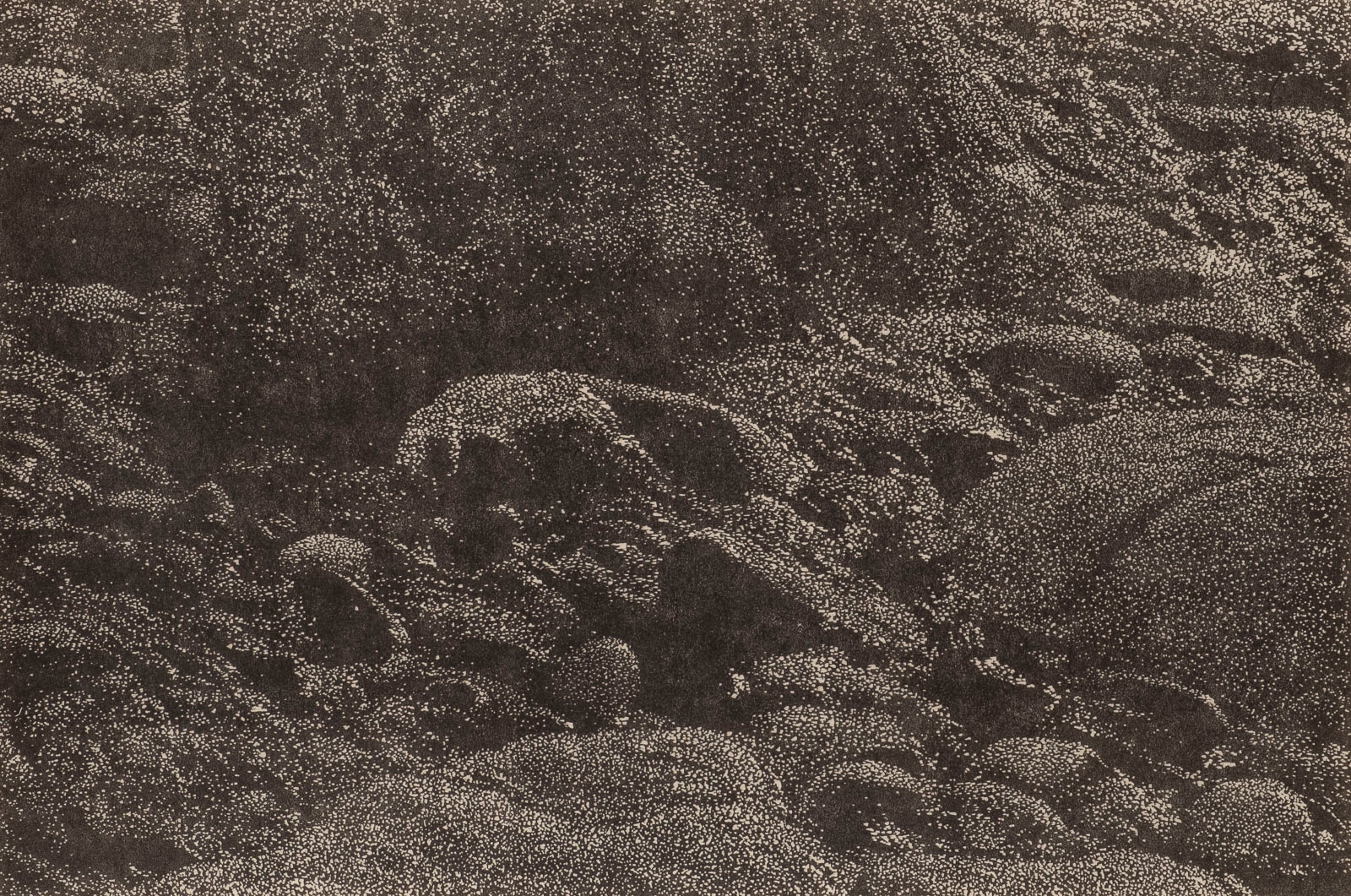 Franz Gertsch | CIMA DEL MAR (1990) | MutualArt