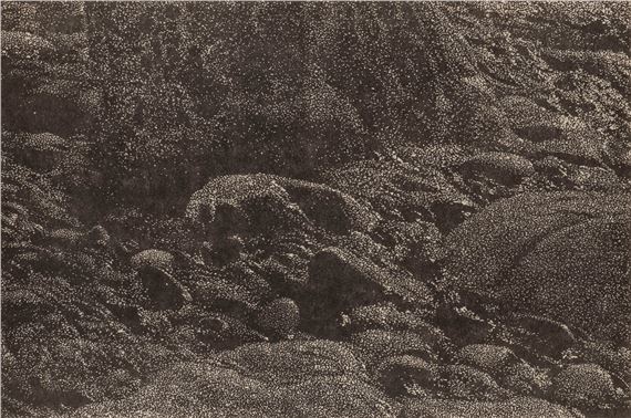 Franz Gertsch | CIMA DEL MAR (1990) | MutualArt