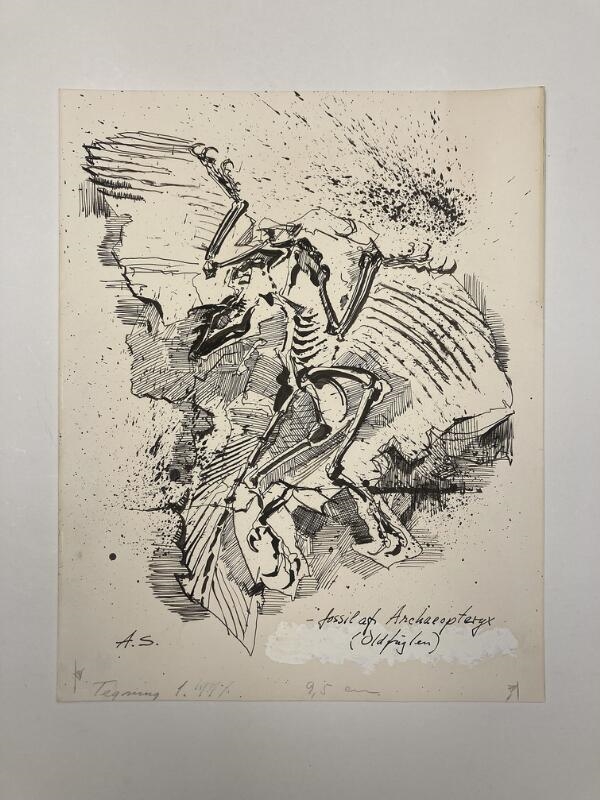 Alex Secher | Fossil af Archaeopteryx and Homer lithographica | MutualArt