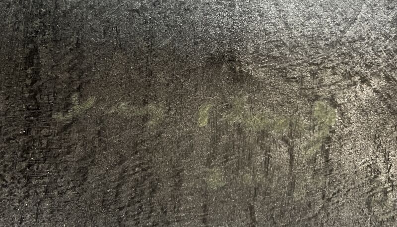 Yang Cheng | White lotus or water lilies | MutualArt