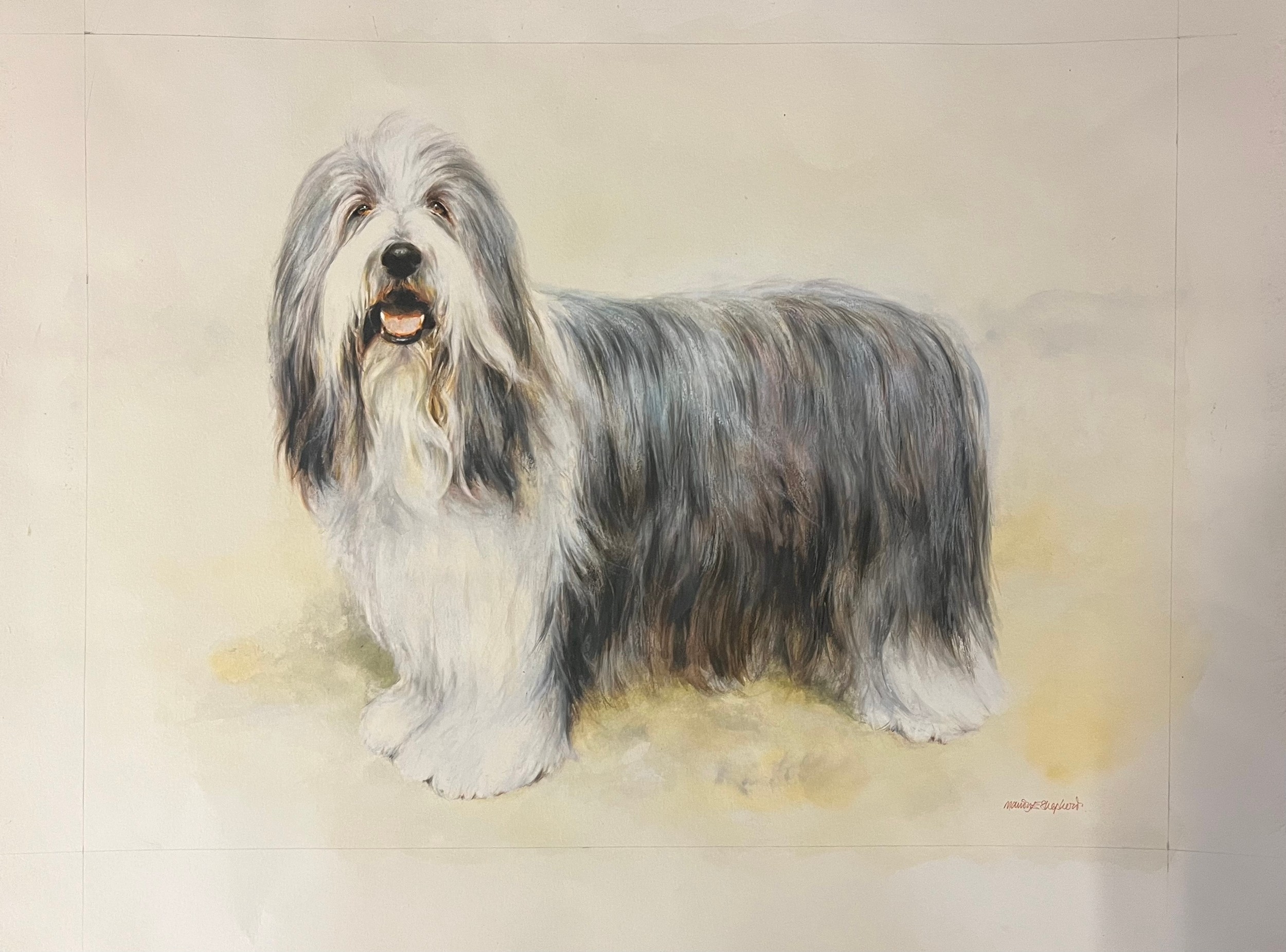 Mandy E. Shepherd |, a Bearded Collie | MutualArt