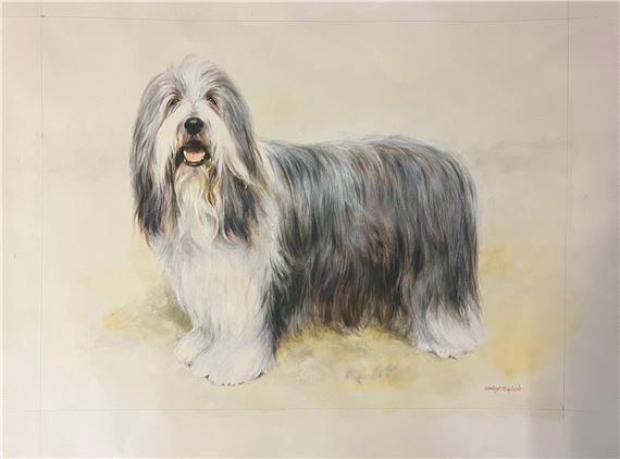 Mandy E. Shepherd |, a Bearded Collie | MutualArt