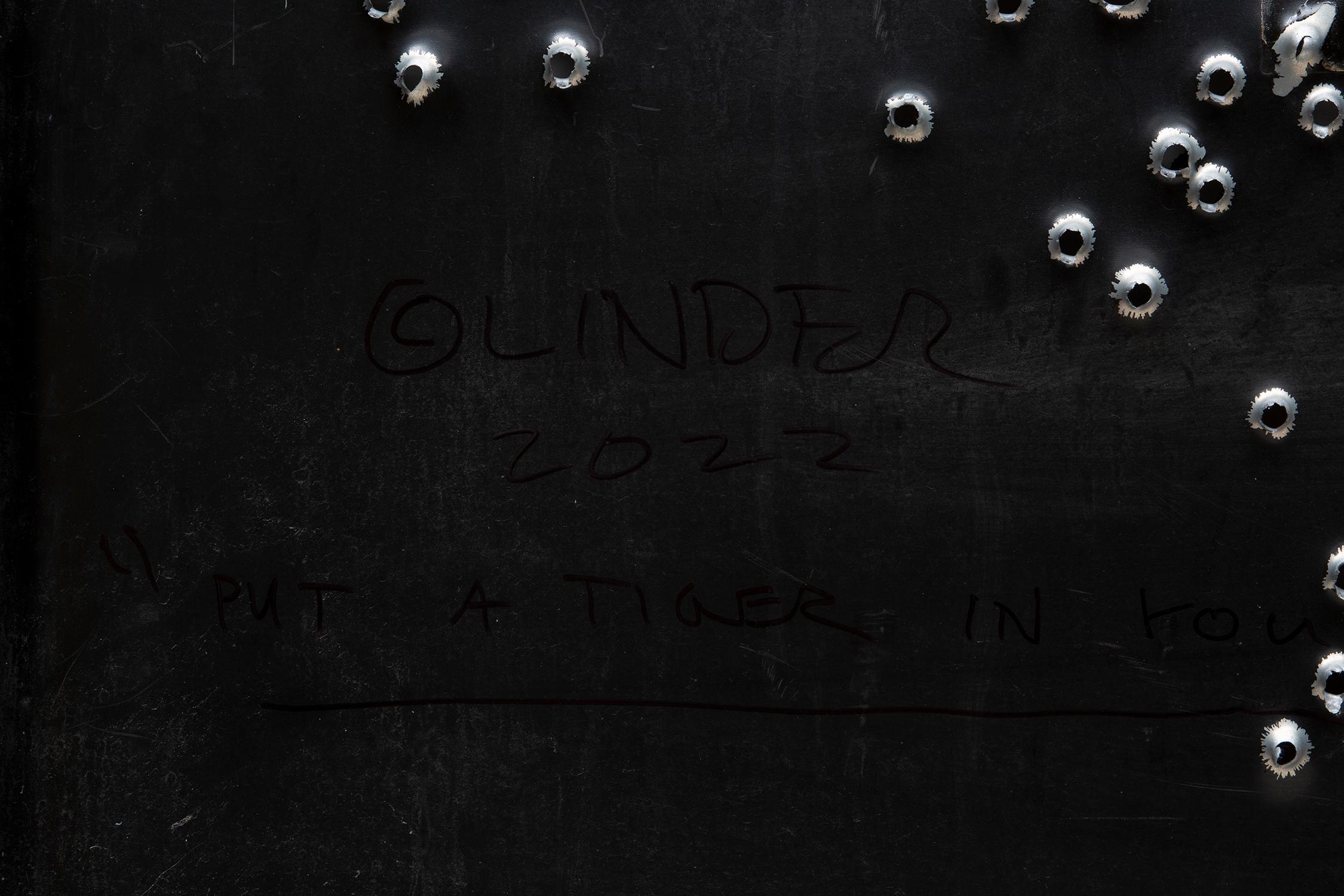 Charles Linder | Put a Tiger in Your Collection (2022) | MutualArt