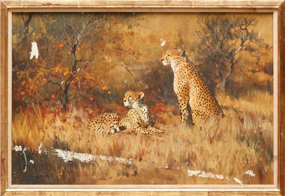 Dino Paravano | Cheetahs in Mopani Bush (1975) | MutualArt