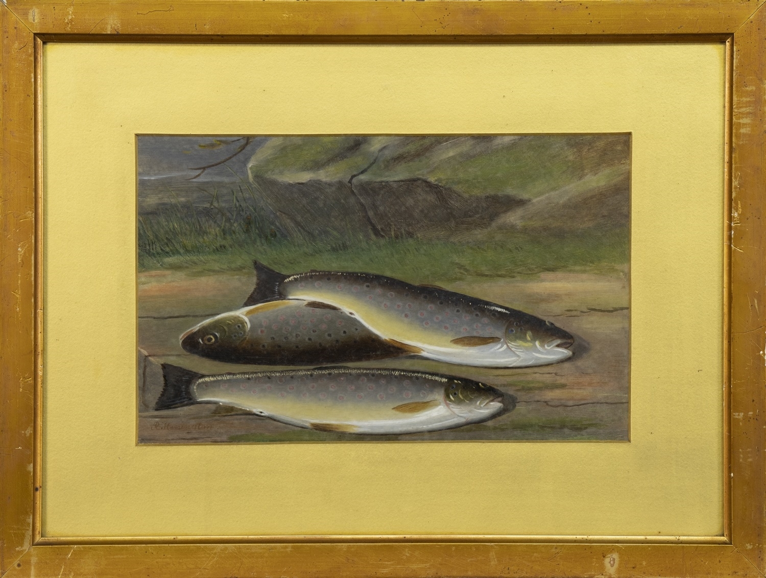 Robert Harrington | TROUT | MutualArt