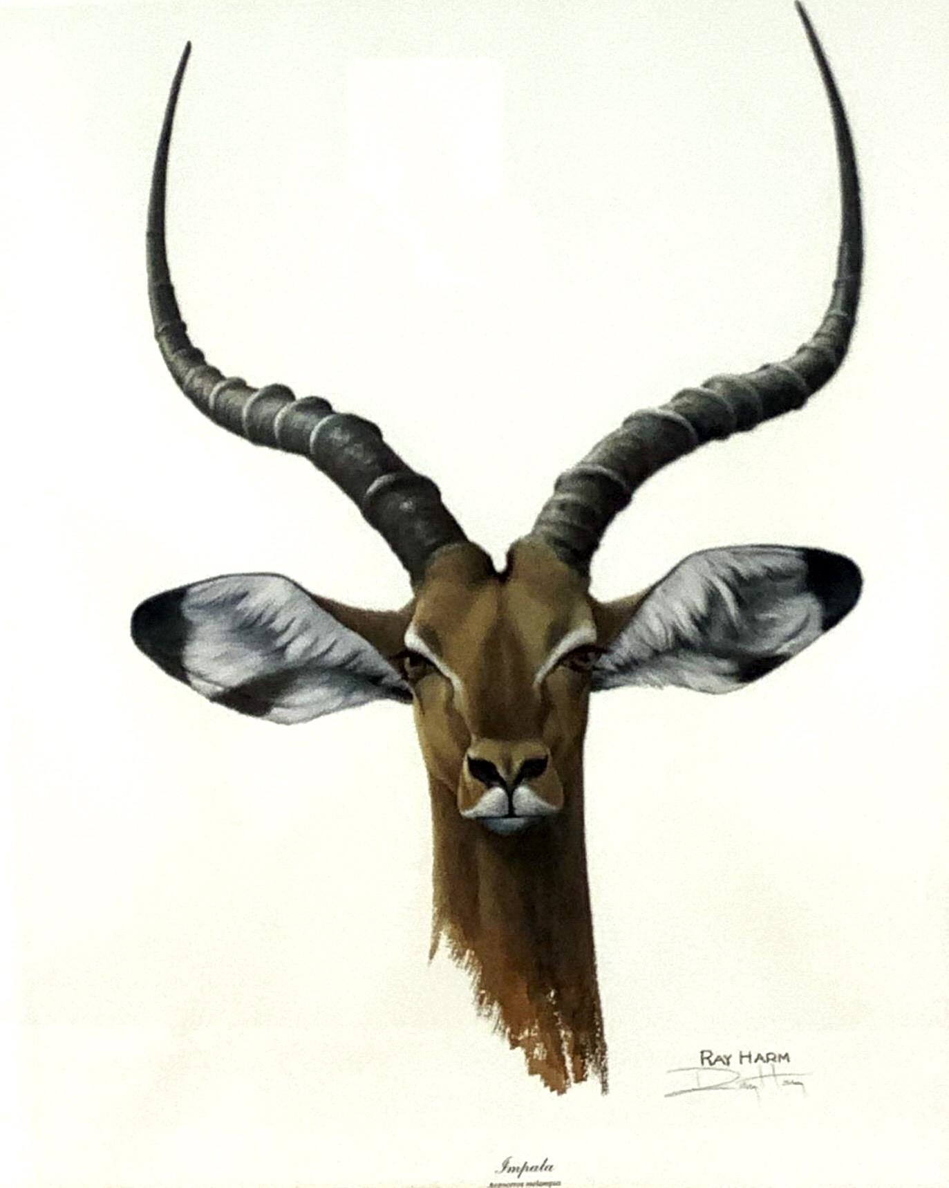 Ray Harm | Ray Harm Signed Limited Edition Print | MutualArt