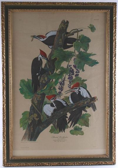 John James Audubon | Pileated Woodpecker (Circa 1950s) | MutualArt