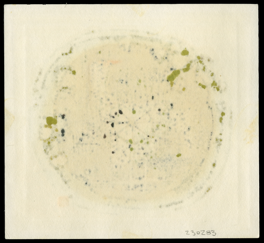 Joichi Hoshi | Joichi Hoshi - White Bird (1967) | MutualArt