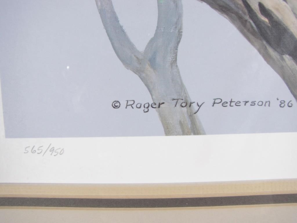 Roger Tory Peterson | Roger Tory Peterson Ltd Ed Lithograph | MutualArt