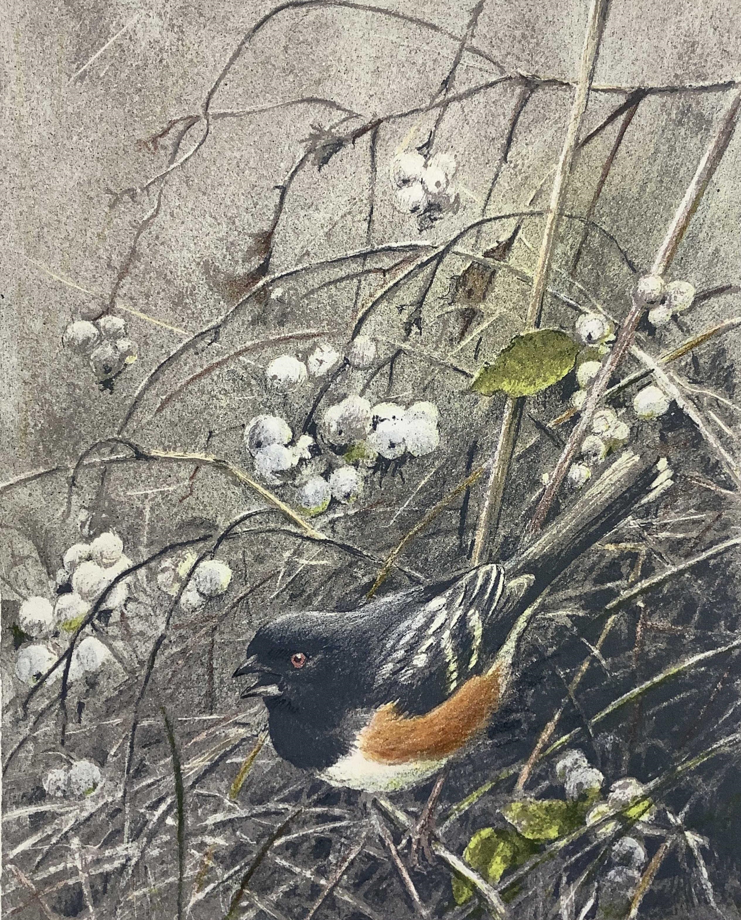 Robert Bateman | Robert Bateman Signed Limited Edition Litho | MutualArt