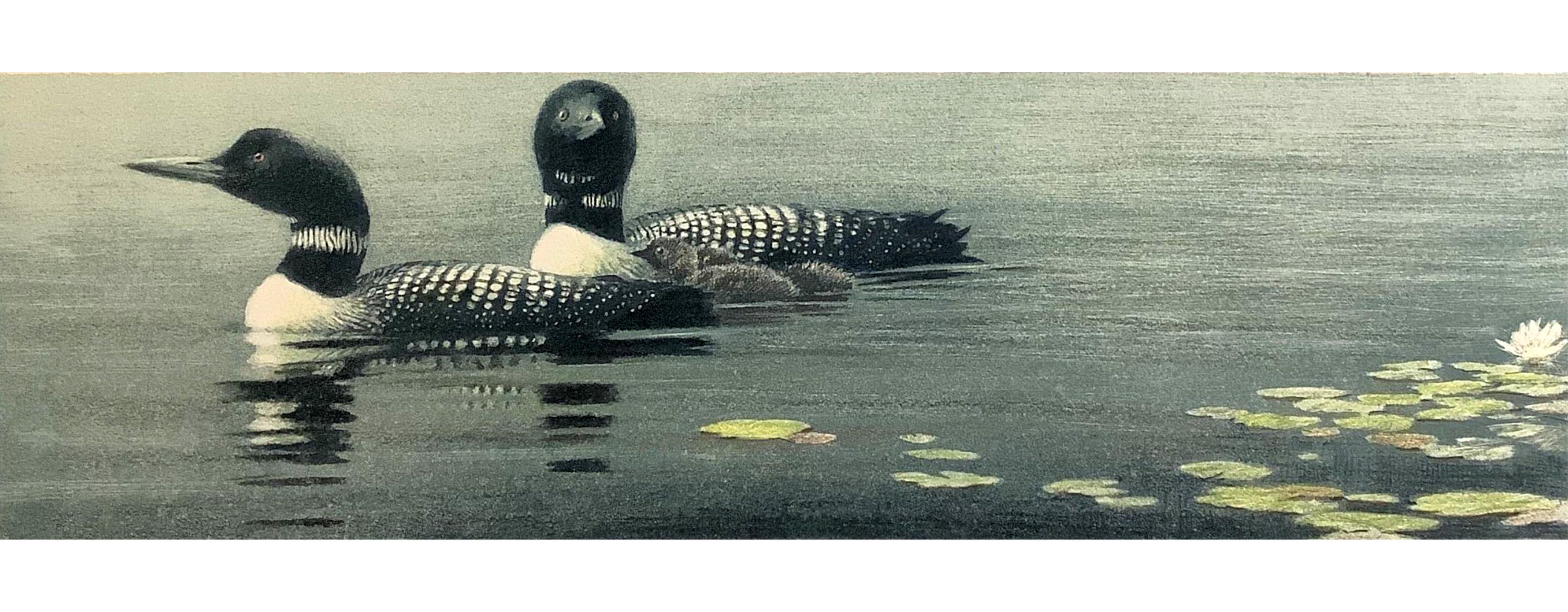 Robert McLellan Bateman | Robert Bateman Signed Ltd Ed Lithograph ...