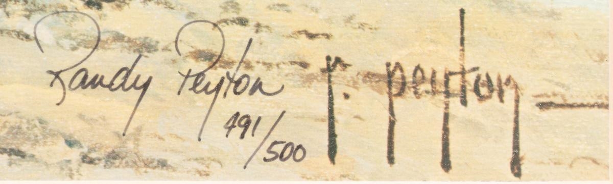 Randy Peyton | Landscape | MutualArt