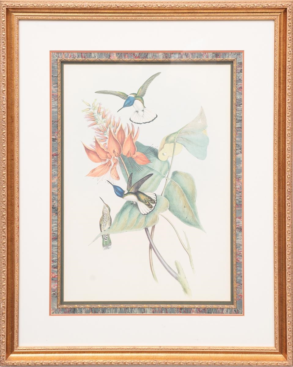 John James Audubon | Humming Birds | MutualArt