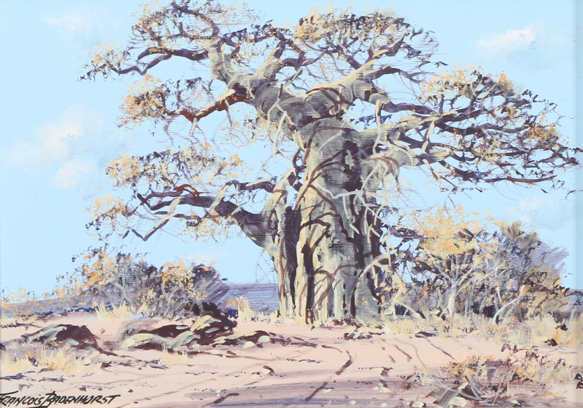 Francois Badenhorst | BAOBAB TREE | MutualArt