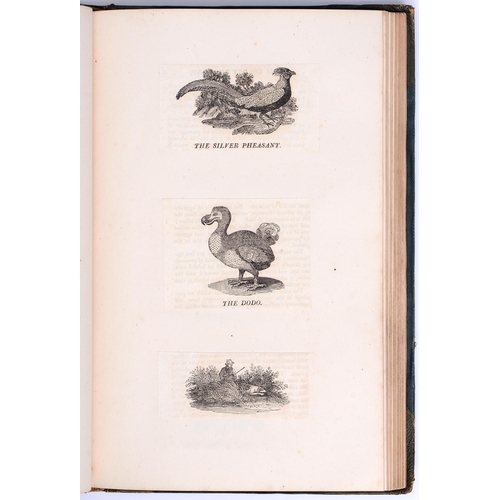 Thomas Bewick | an album of approx. 300 woodcuts | MutualArt
