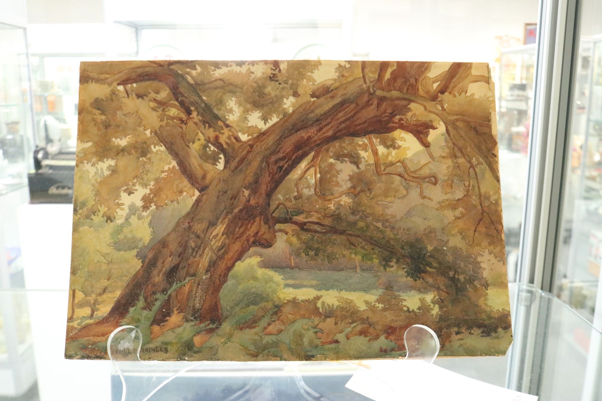 Ethel Barringer | Old Oak Tree | MutualArt