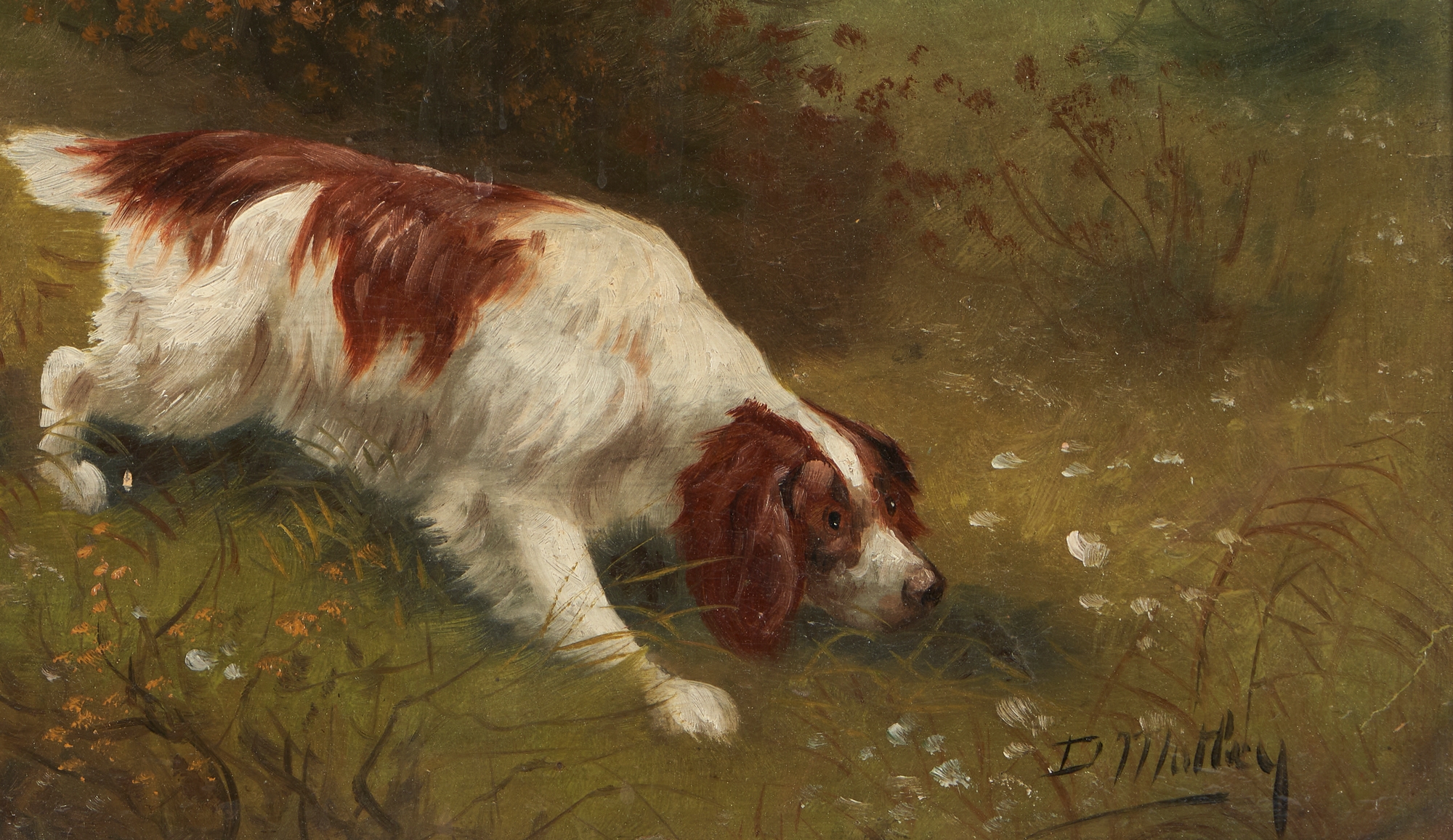 David Motley | David Motley Oil Painting, English Spaniels | MutualArt