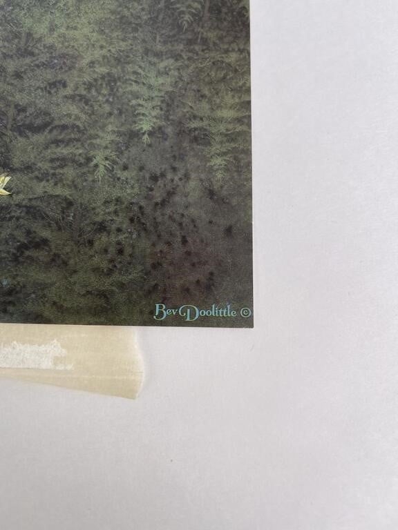 Bev Doolittle | Bev Doolittle Let my Spirit Soar Print | MutualArt