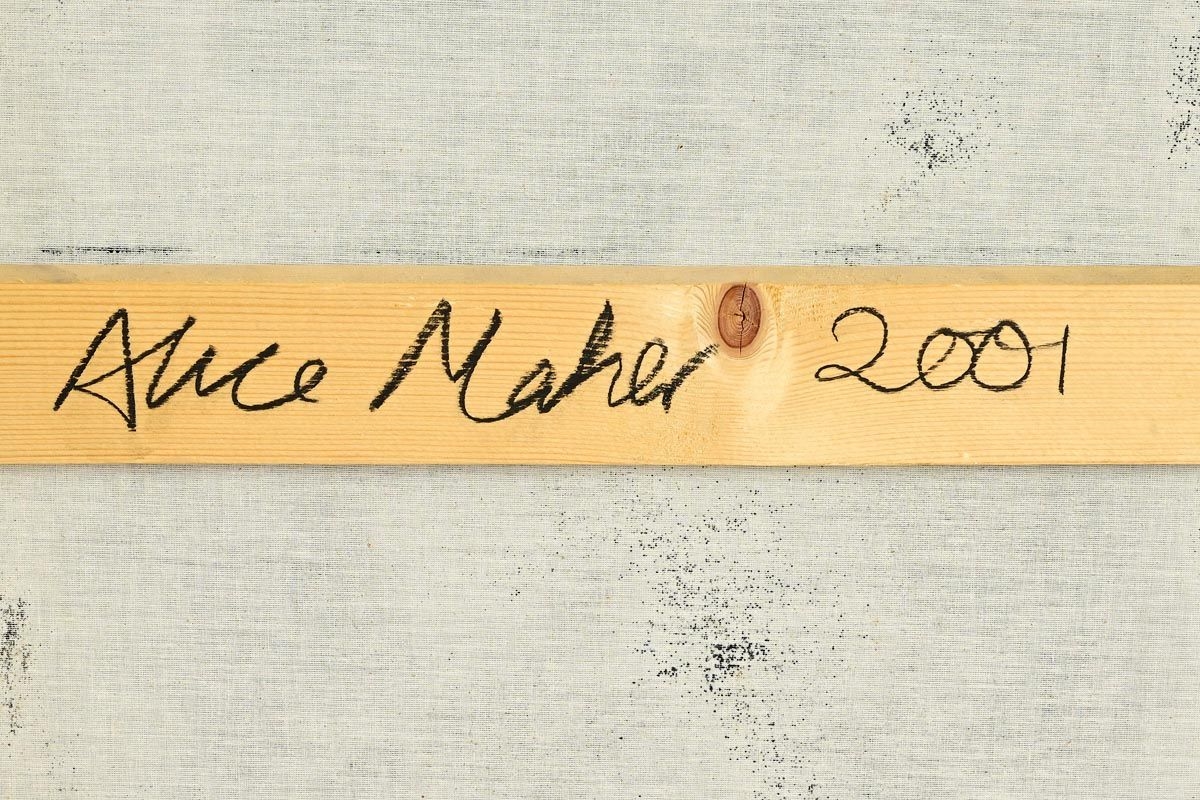 Alice Maher | History of Tears I (2001) (2001) | MutualArt