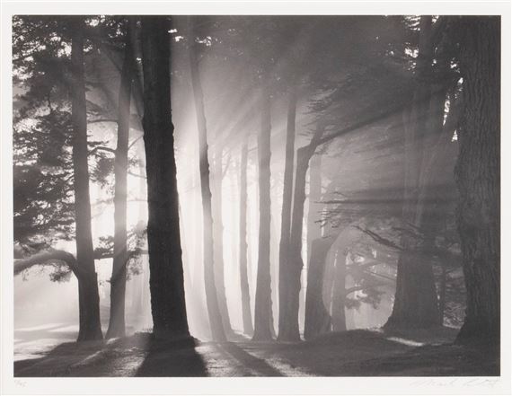 Mark Citret | Depicting the park under a layer of mist (1949) | MutualArt