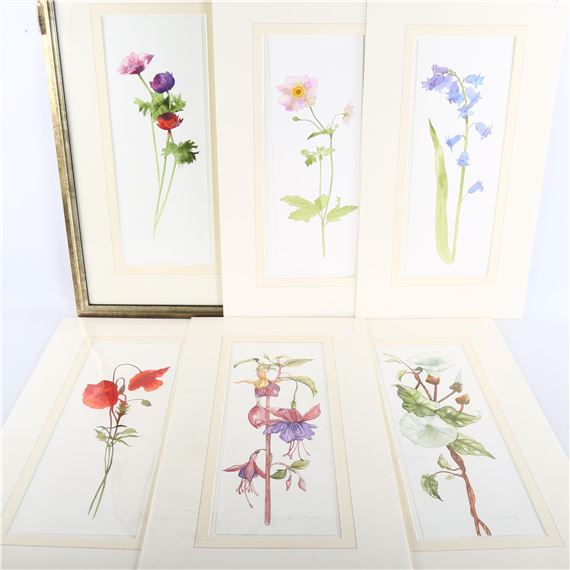 Jane Edmonds | a group of 6 watercolour botanical studies | MutualArt