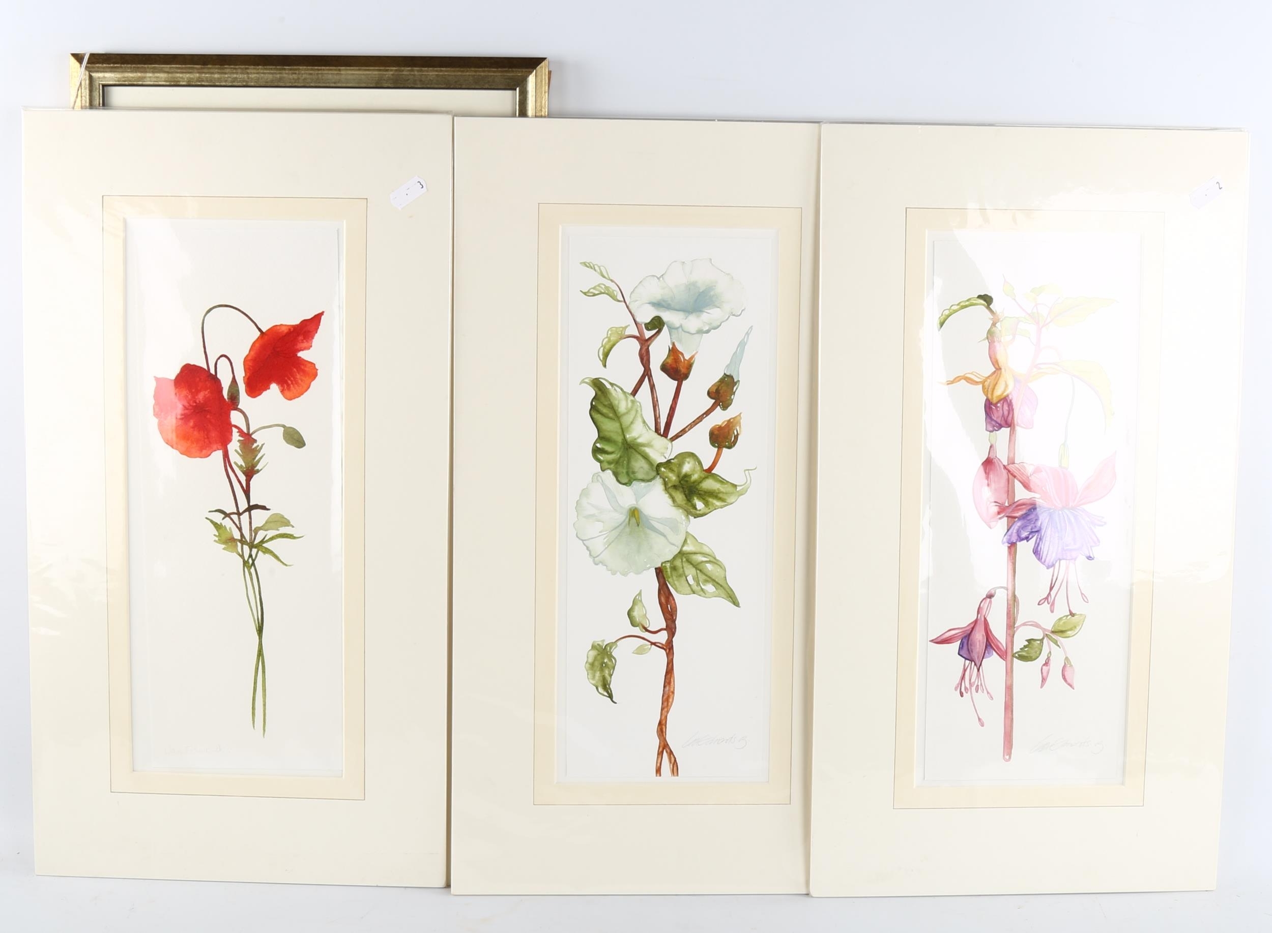 Jane Edmonds | a group of 6 watercolour botanical studies | MutualArt