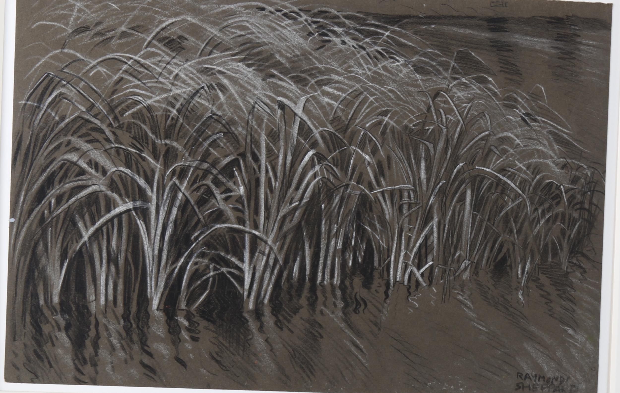 Raymond Sheppard | 5 various animal studies | MutualArt