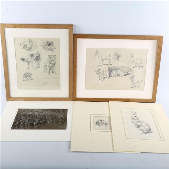 Raymond Sheppard | 5 various animal studies | MutualArt