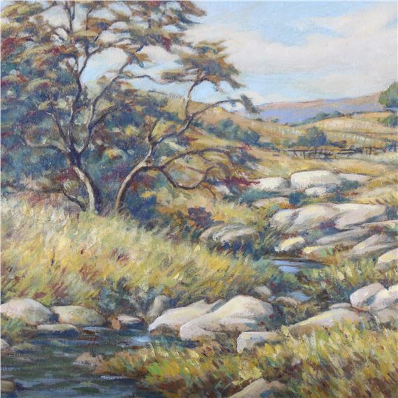Erich Mayer | South African landscape | MutualArt