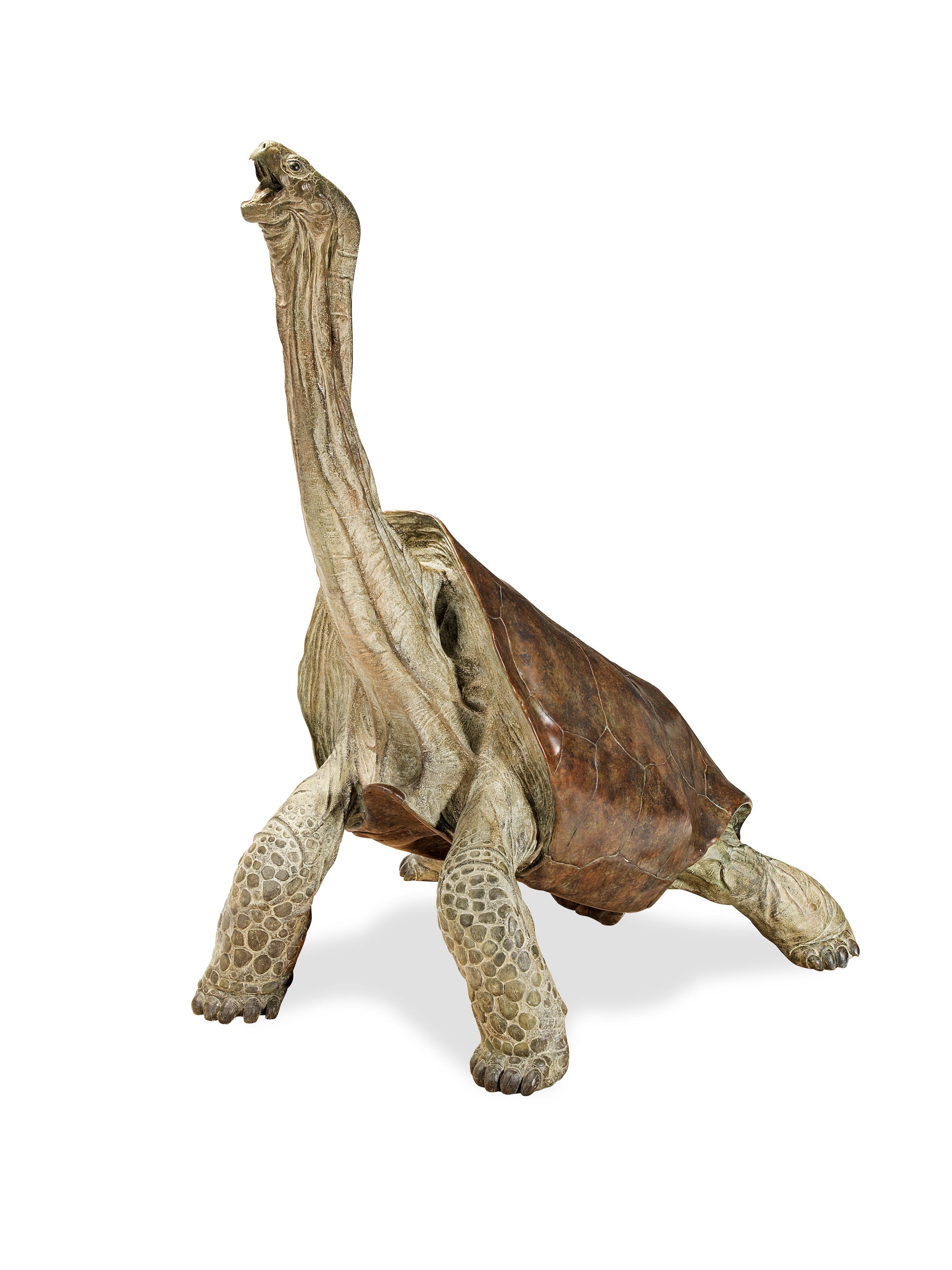 Nick Bibby | Model of a Rodrigues Giant Tortoise (Cylindraspis vosmaeri ...