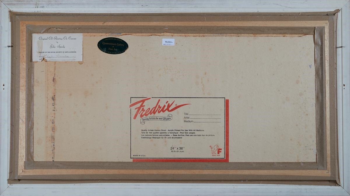 John Speedy | Lake Wanaka | MutualArt