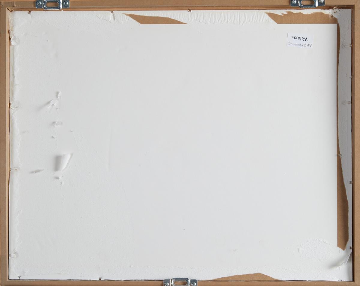 Robin Morrison | Interior of Donovans Store, Okarito | MutualArt