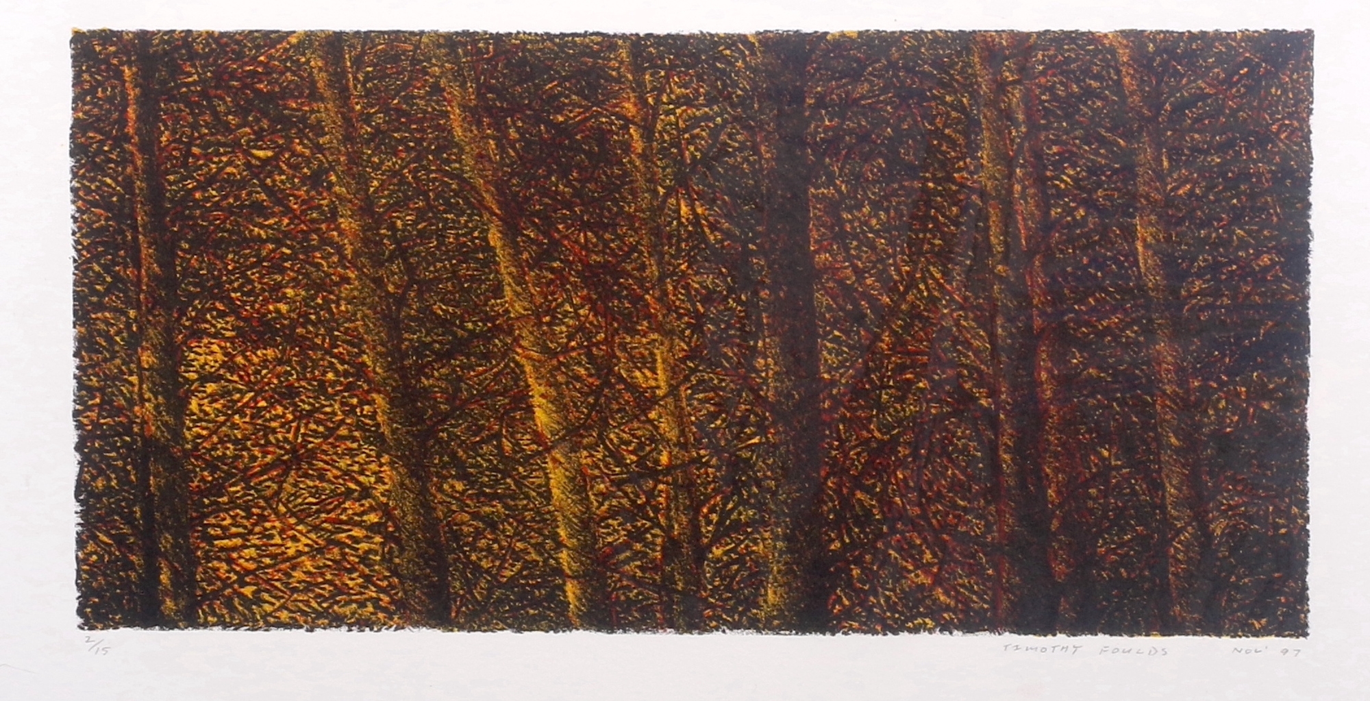 Timothy Foulds | TREES | MutualArt