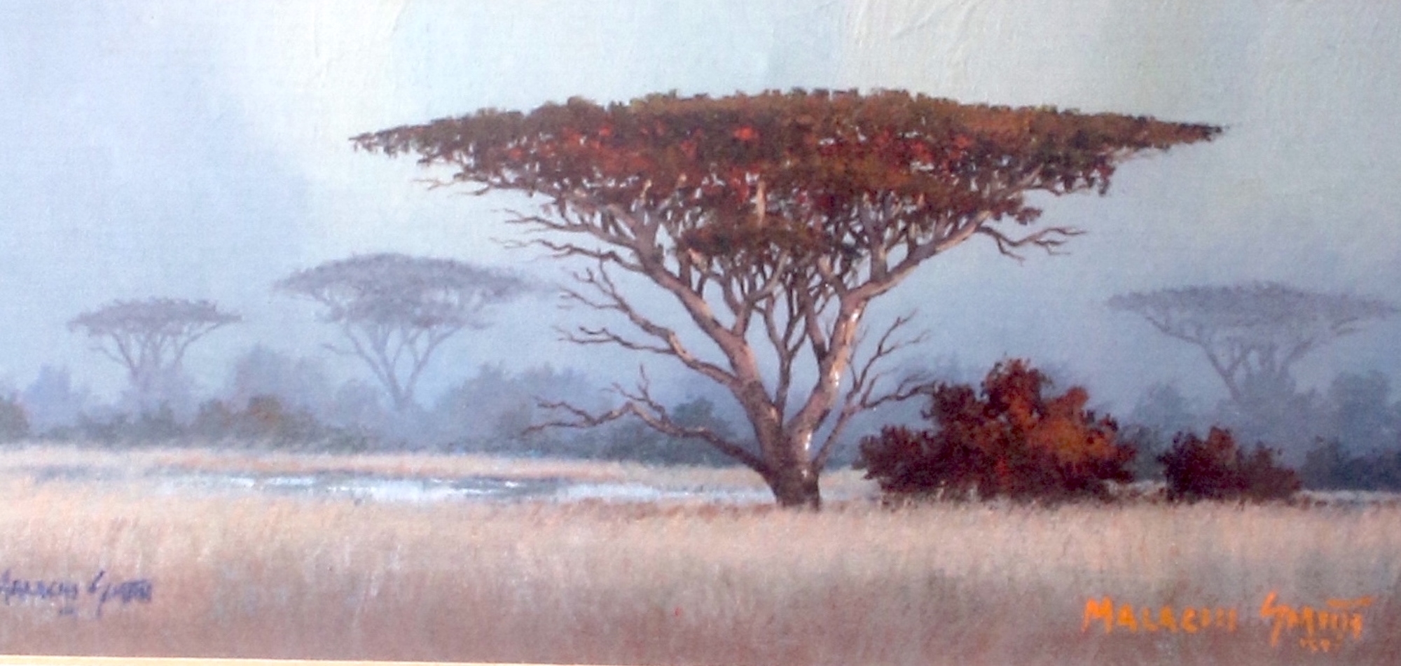 Malachi Smith | KRUGER PARK | MutualArt