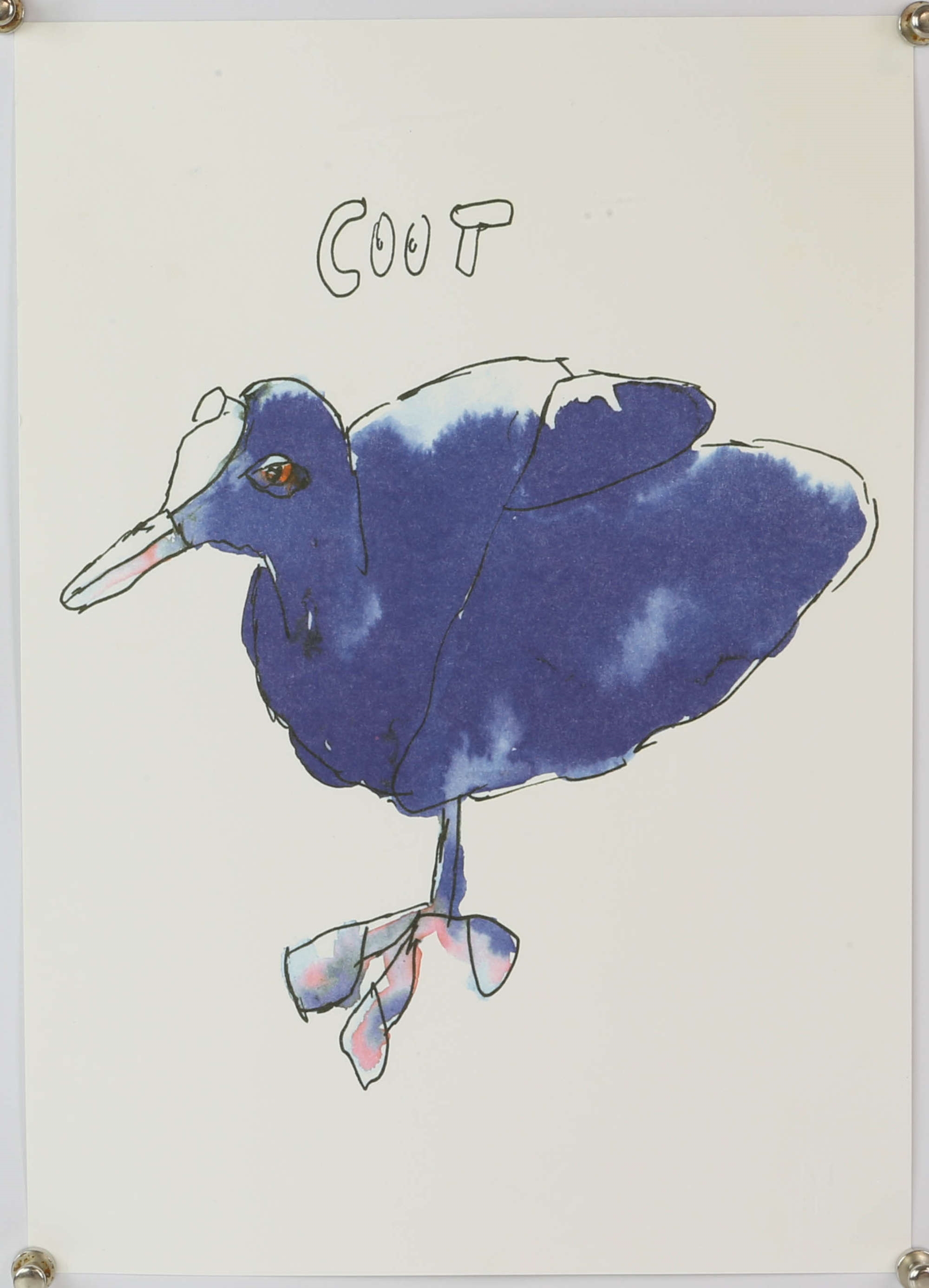 Vic Reeves | Coot | MutualArt