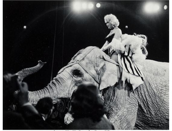 Erika Stone | Marilyn Monroe at Barnum & Bailey Circus Opening, New ...