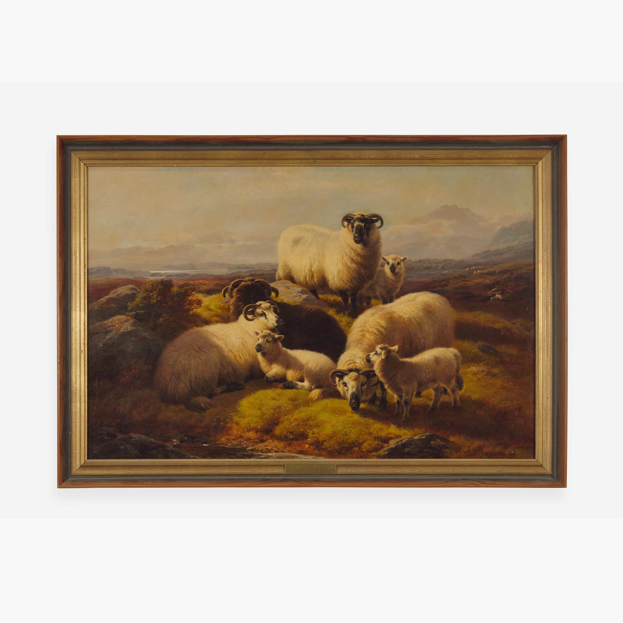 William Watson | Mountain Sheep (1887) | MutualArt